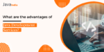 Exploring the Future of Java­­ Web­ Application ­Development
