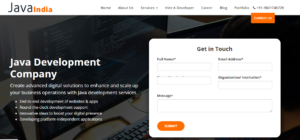 Top 8 Custom Java Software Development Company in India - Java Blog ...